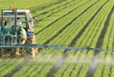 Formulas for Spraying Multiple Nozzles Over the Row
