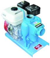Centrifugal Pump, 2IN Flomax 8, Cast Iron Pedestal, Self Priming