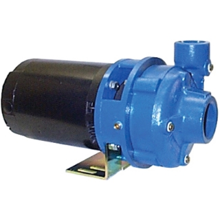 Scot Pumps 1.5 HP Cast Iron Centrifugal Pump / Motor Units, MotorPump ...