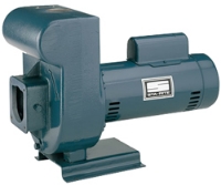 Pumps & Pump Systems for Agriculture, Industrial, Powerwash and Custom ...