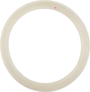 Wayland Industries Tri-Clamp Gaskets
